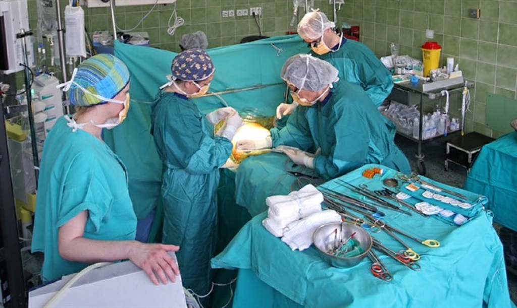 Rama-Prozor.Info • BiH na začelju Europe po broju transplantacija organa